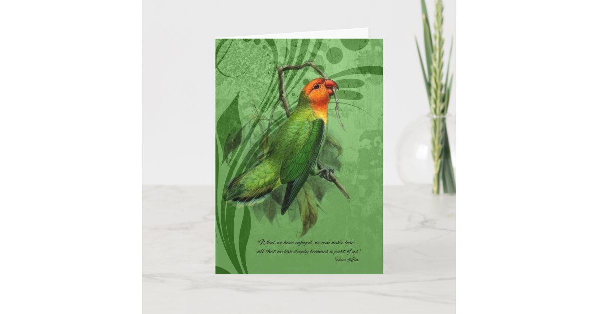 Pet Sympathy Loss of a Bird Lovebird Card | Zazzle.com
