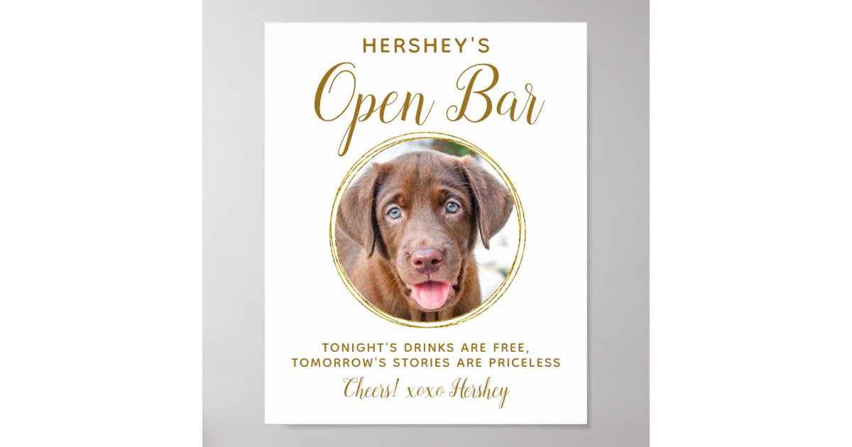 Pet Wedding Open Bar Dog Photo Elegant Gold Drinks Poster | Zazzle