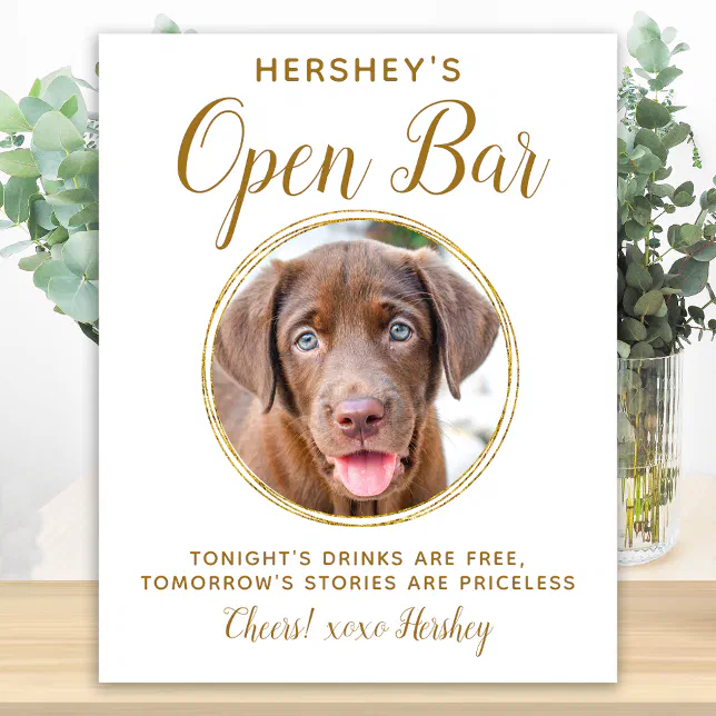 Pet Wedding Open Bar Dog Photo Elegant Gold Drinks Poster | Zazzle
