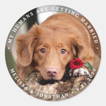 Pet Wedding Personalized Dog Photo Engagement Classic Round Sticker ...