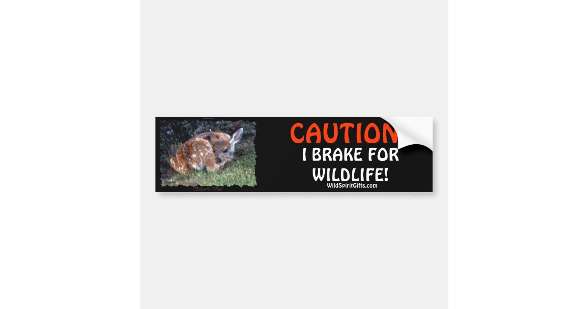 PET & WILDLIFE PROTECTION Deer Bumper Stickers | Zazzle