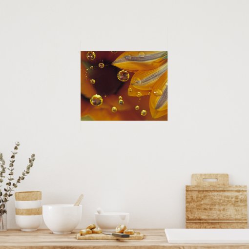 Petals on Mylar reflective surface with drops. Poster | Zazzle