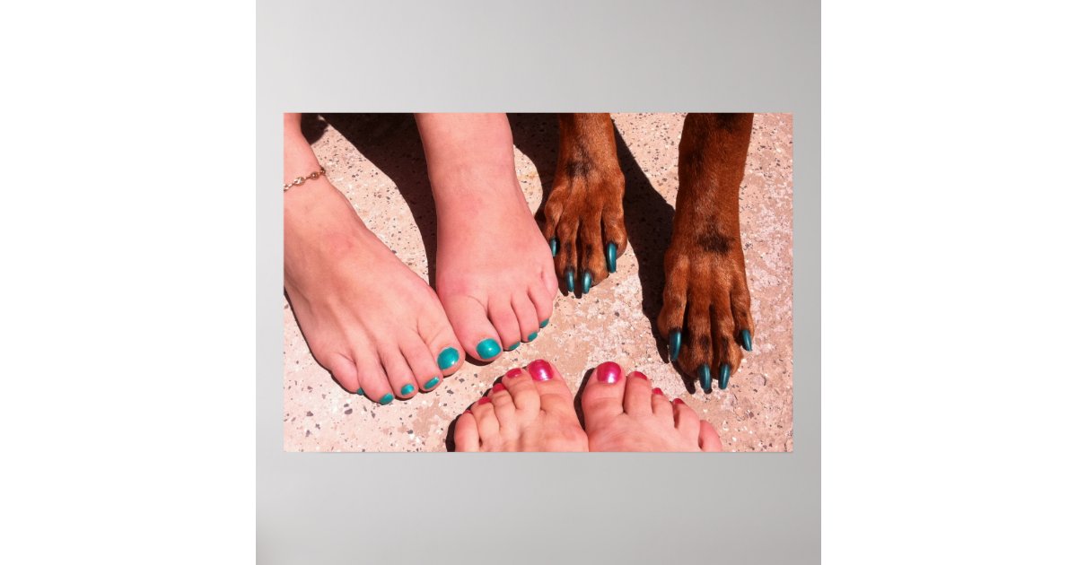 Peticure - Pedicure Spa Day Poster | Zazzle