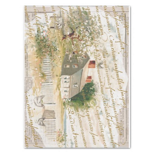 Petite Maison de Plage French Script Decoupage Tissue Paper | Zazzle