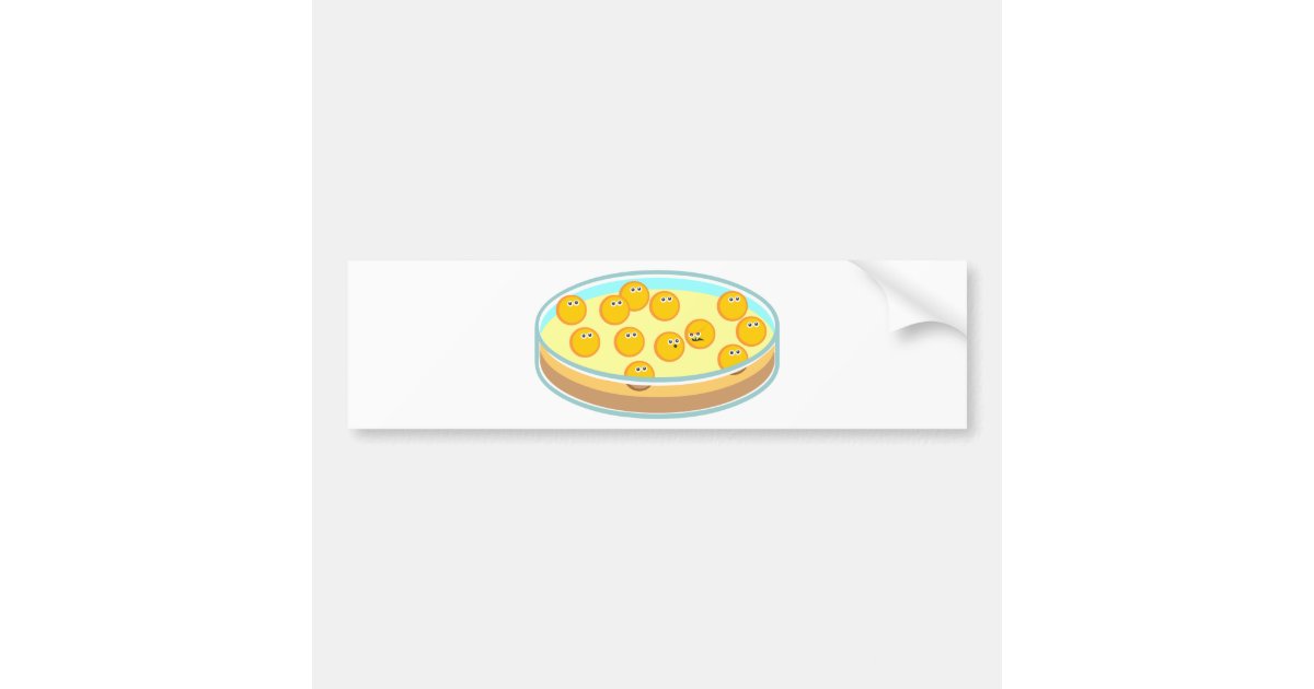 Petri Dish MRSA Bumper Sticker | Zazzle