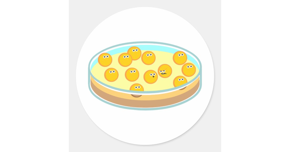 Petri Dish MRSA Classic Round Sticker | Zazzle
