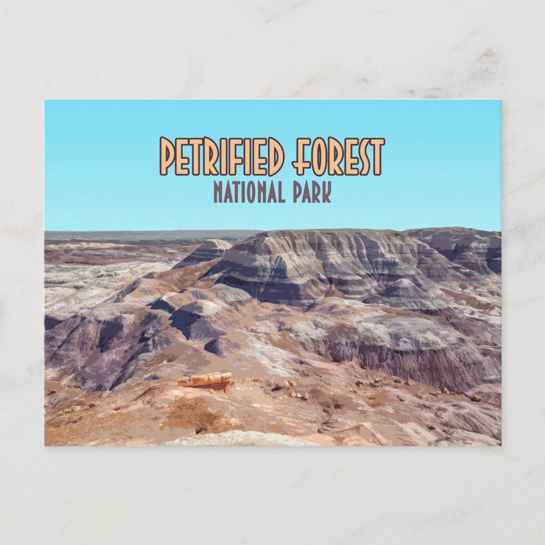 Petrified Forest National Park Arizona Vintage Postcard | Zazzle