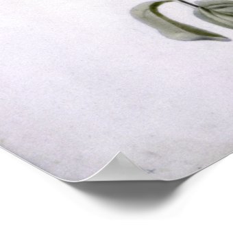 Petunia Poster | Zazzle