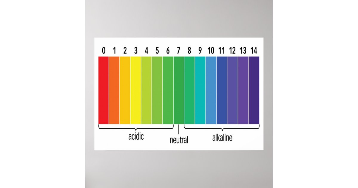 pH Scale Poster | Zazzle