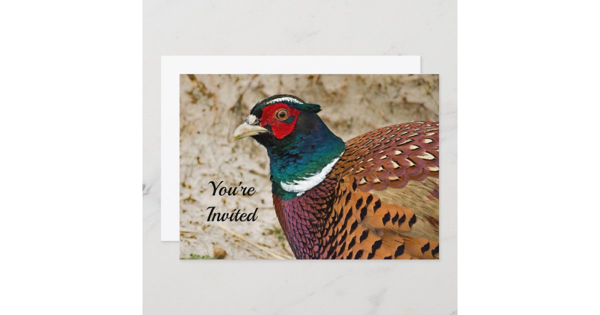Pheasant 3 Birthday Invitation | Zazzle