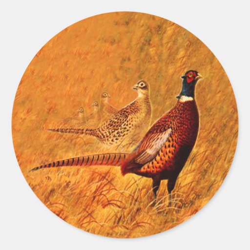 Pheasant Hunting Stickers - 200+ Custom Designs | Zazzle