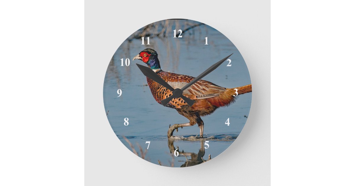 Pheasant Blue Water Photo Round Clock | Zazzle