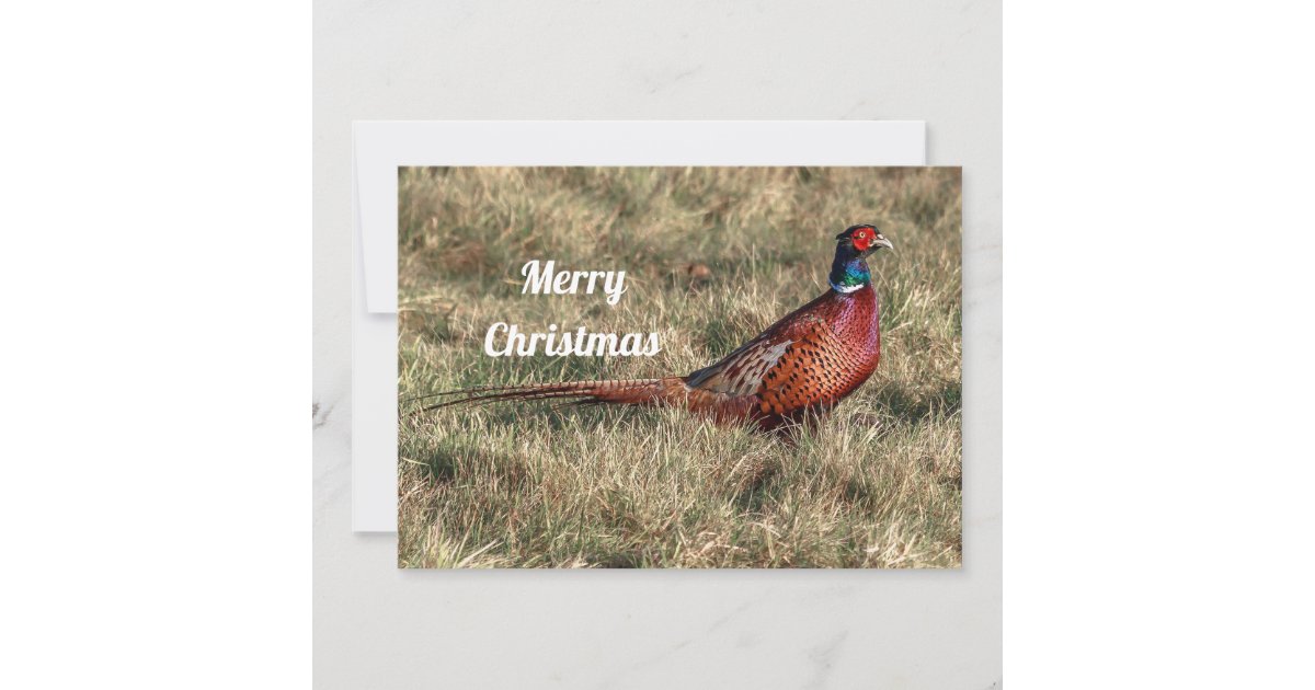 Pheasant Photo Christmas Flat Holiday Card | Zazzle