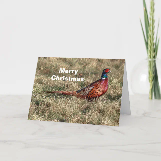 Pheasant Photo Christmas Holiday Card | Zazzle
