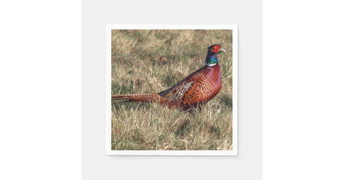 Pheasant Photo Napkins | Zazzle