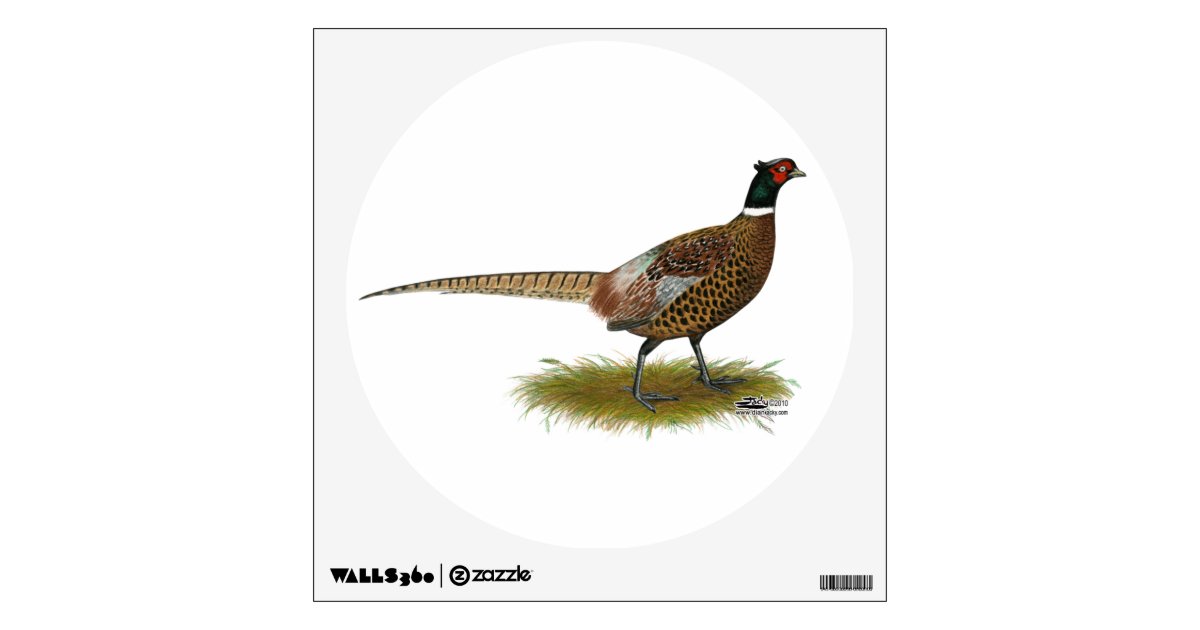 Pheasant Rooster Wall Sticker | Zazzle