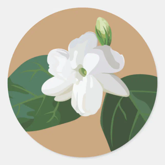 Philippines Series: Sampaguita Flower Classic Round Sticker | Zazzle