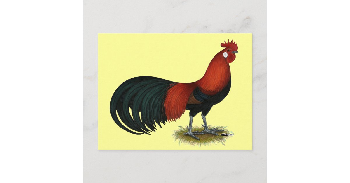 Phoenix: BB Red Rooster Postcard | Zazzle