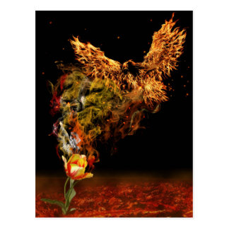 Phoenix Postcards | Zazzle