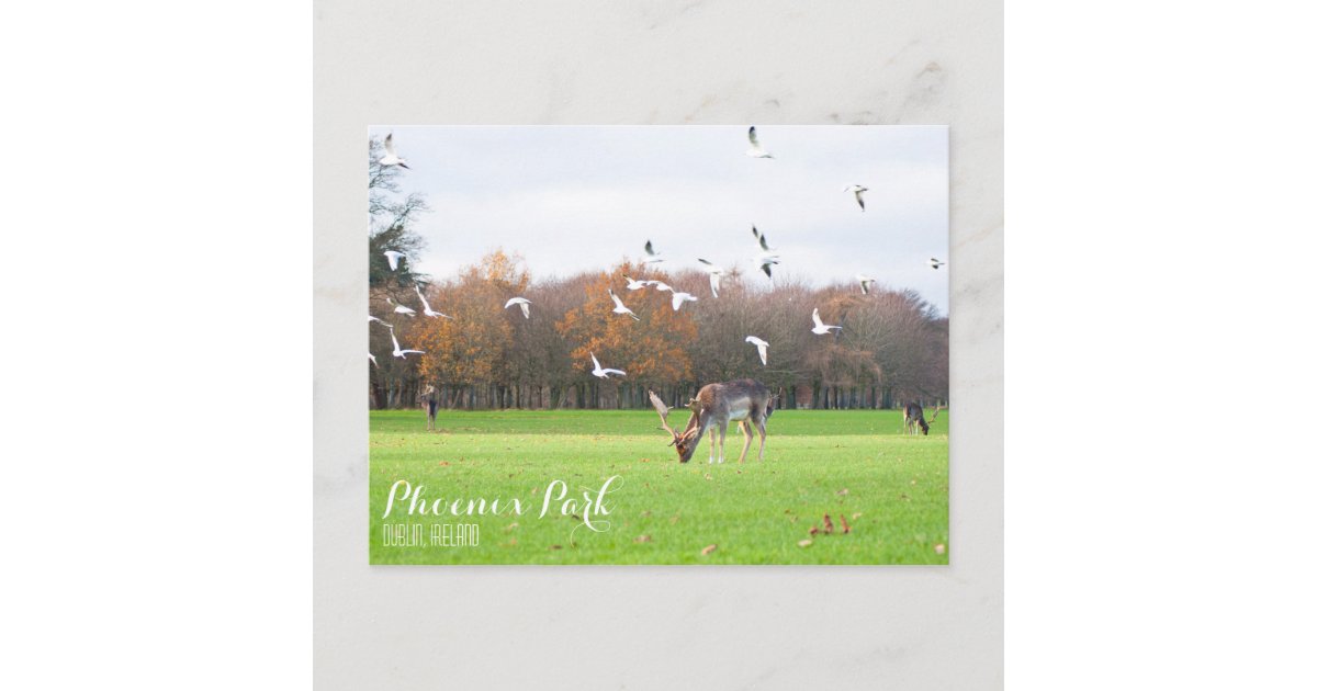 Phoenix Park Postcard | Zazzle