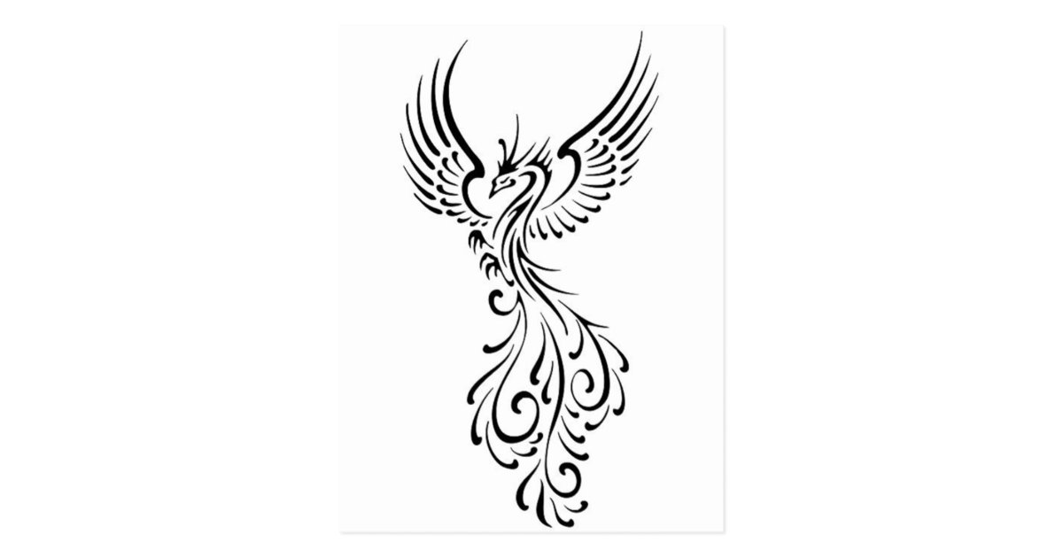 Phoenix Postcard | Zazzle.com