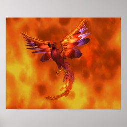 Phoenix Poster | Zazzle