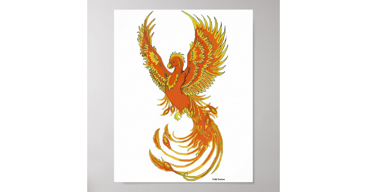 Phoenix Rising Poster | Zazzle