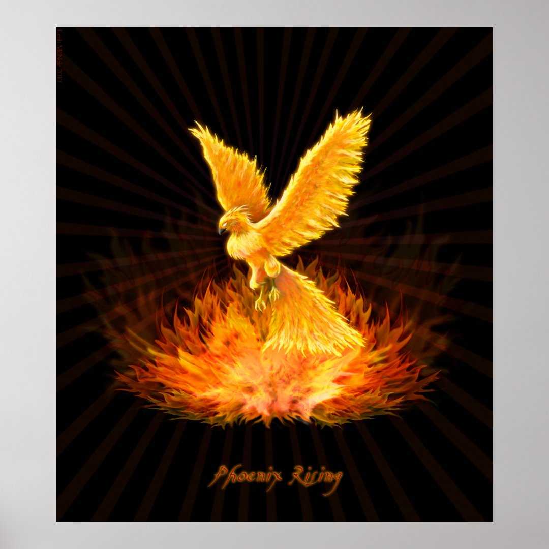 Phoenix Rising Poster | Zazzle