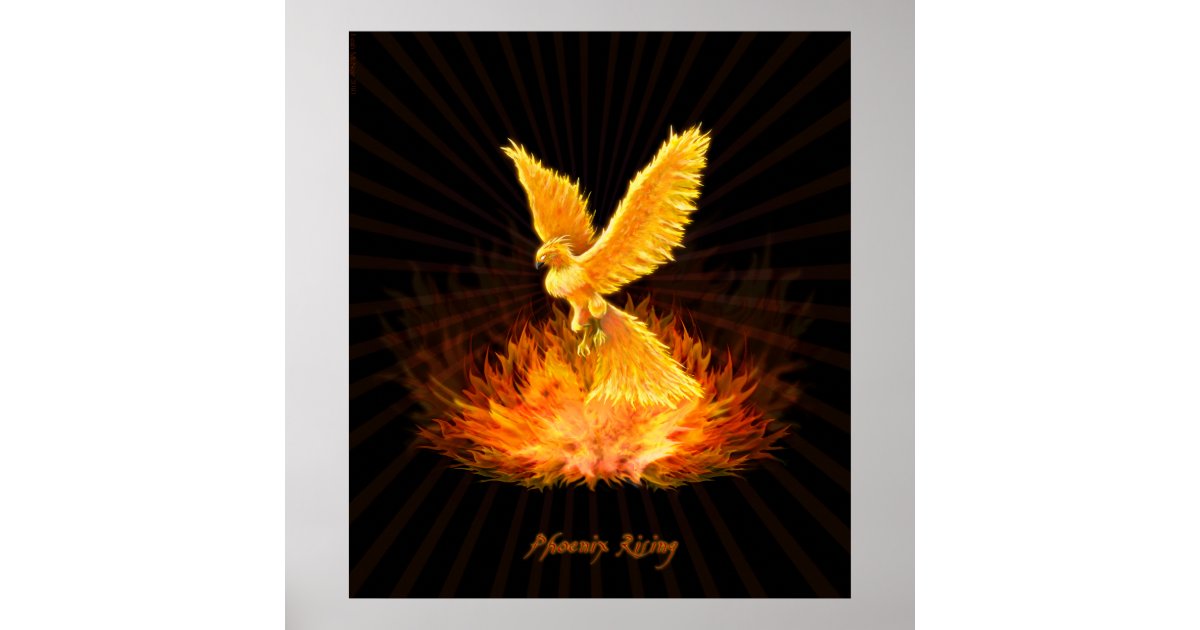 Phoenix Rising Poster | Zazzle