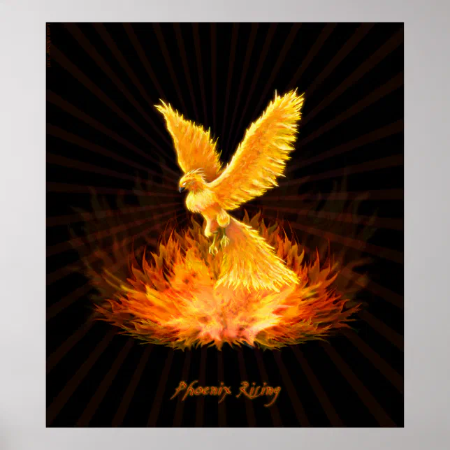 Phoenix Rising Poster | Zazzle