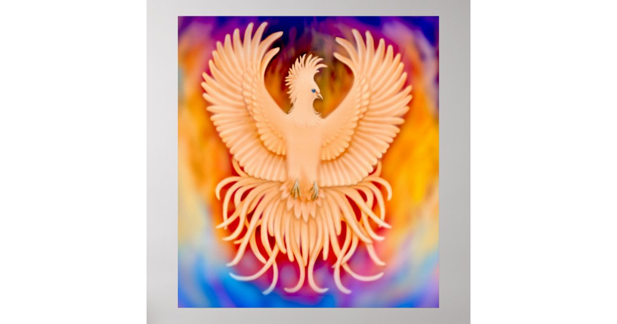 Phoenix Rising Poster | Zazzle