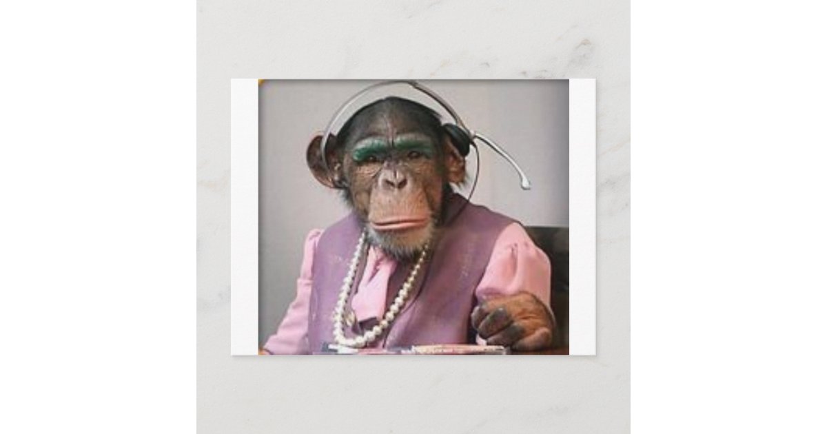 phone monkey postcard | Zazzle