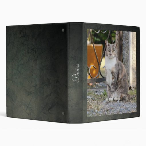 Photo cat , animals. 3 ring binder | Zazzle