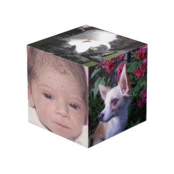 Photo Cube (4 inch) | Zazzle