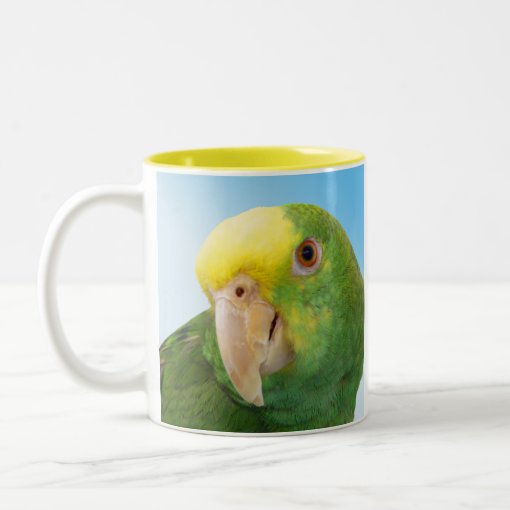 Photo Double Yellow Headed Amazon Parrot Two-Tone Coffee Mug | Zazzle
