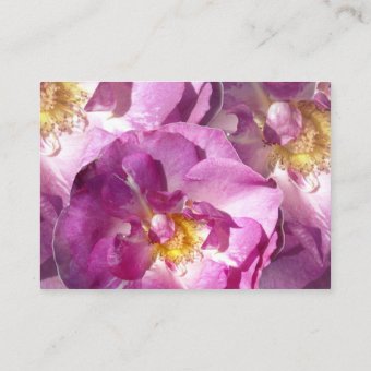 Photo Floral Business Cards, Roses Photo Business Card | Zazzle