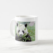 Photo giant panda , animals 0004. coffee mug | Zazzle