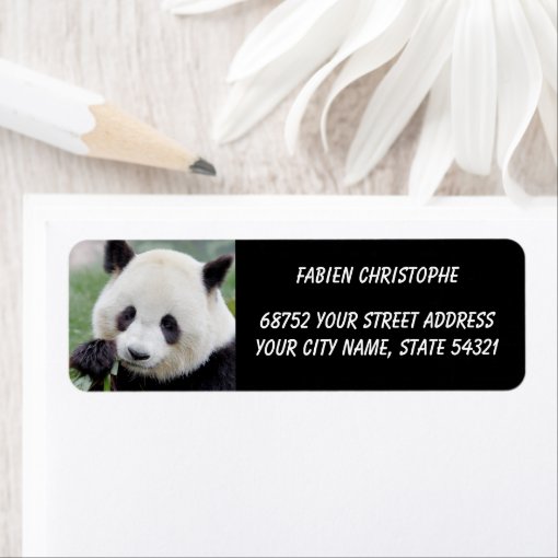 Photo giant panda , animals 0348. label | Zazzle