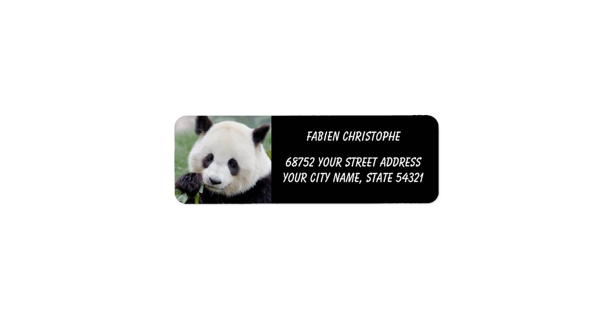 Photo giant panda , animals 0348. label | Zazzle