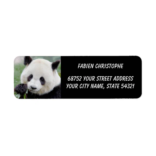 Photo giant panda , animals 0348. label | Zazzle