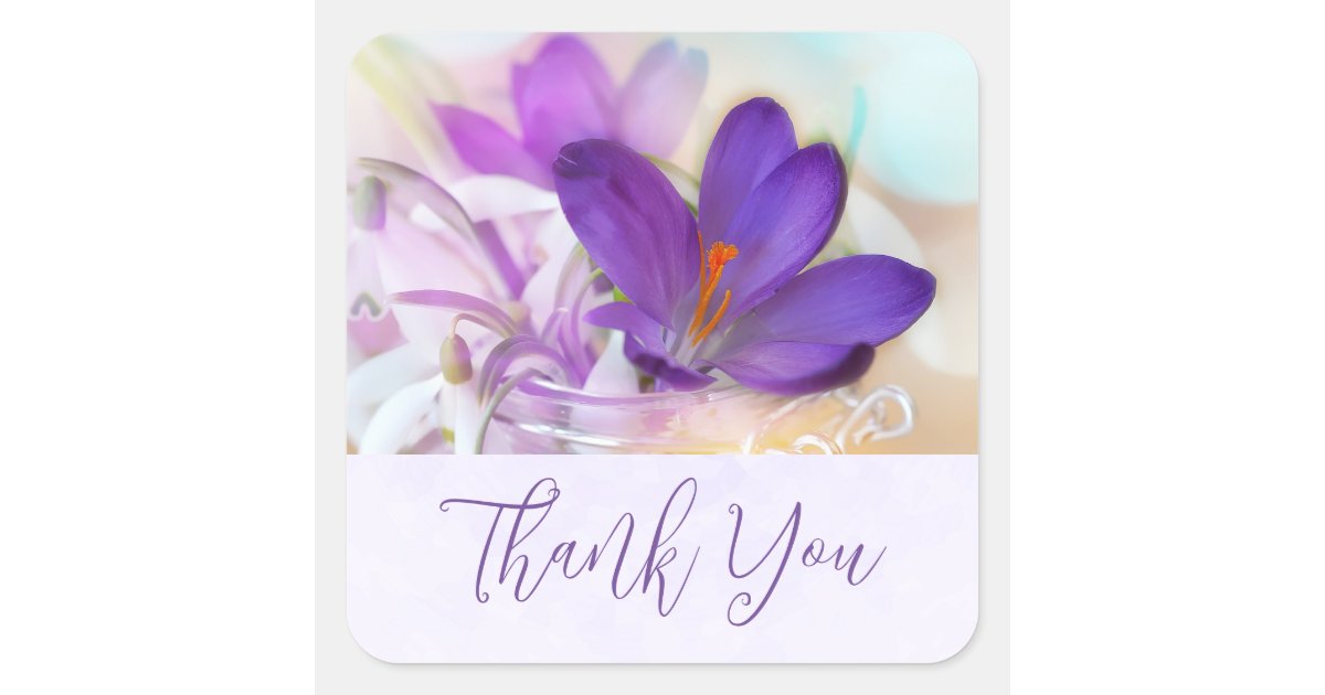 Photo of a Pretty Purple Spring Crocus Thank You Square Sticker | Zazzle