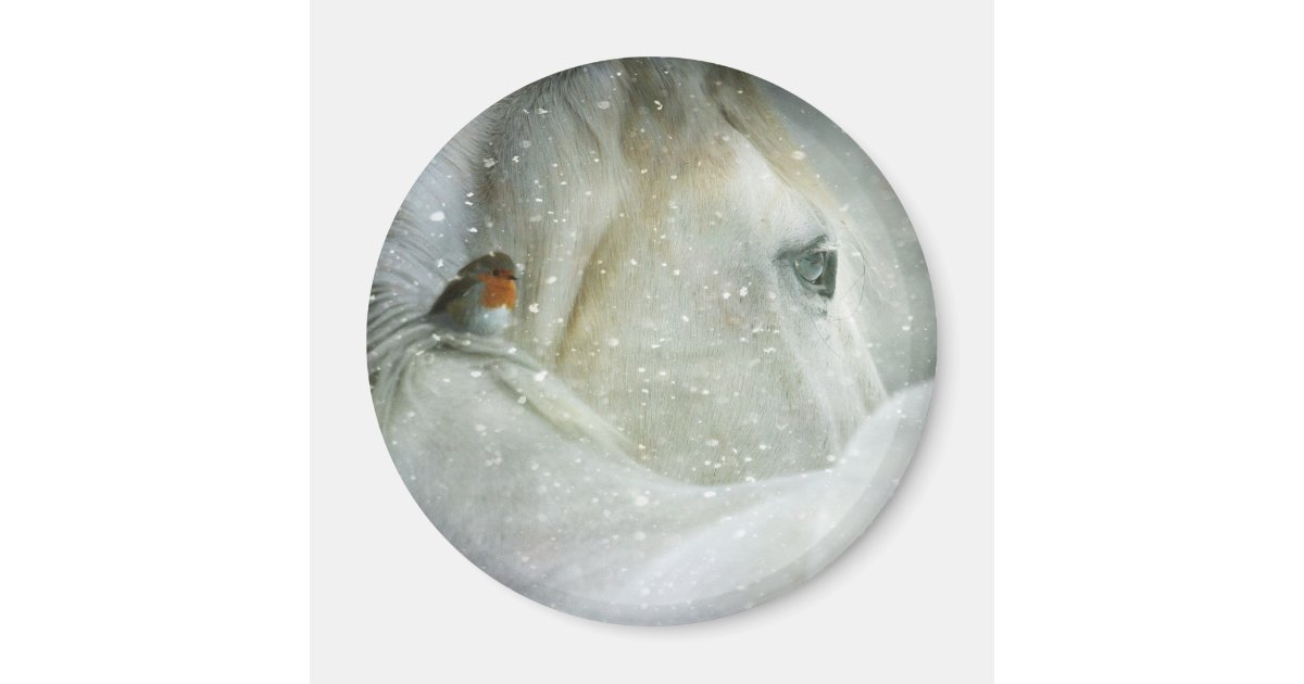 Photo of a White Horse and Bird in Winter Magnet | Zazzle