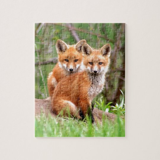 Photo of adorable red fox kits sitting together jigsaw puzzle | Zazzle.com