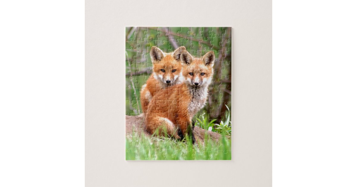 Photo of adorable red fox kits sitting together jigsaw puzzle | Zazzle