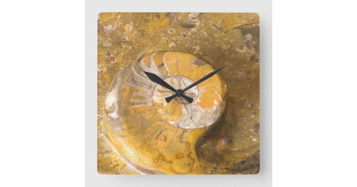 Photo of Carved Bowl Made of Fossils in Rock Square Wall Clock | Zazzle