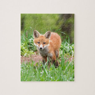 Fox Jigsaw Puzzles | Zazzle