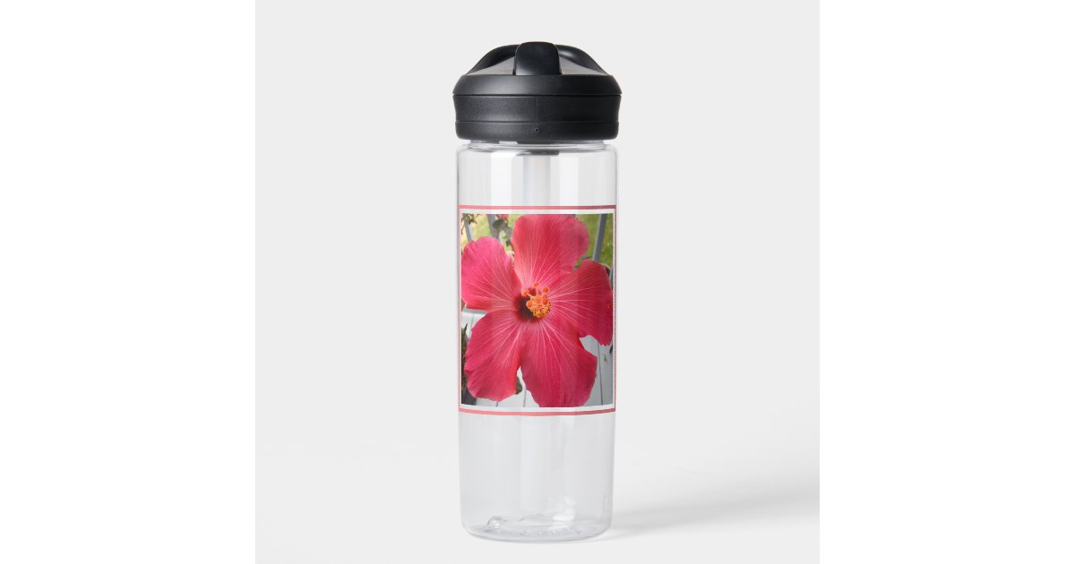 Photo of Pink Flower Song of Solomon Bible Verse Water Bottle | Zazzle
