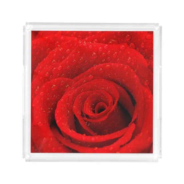 Photo of Red Rose Background Acrylic Tray | Zazzle