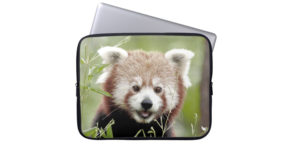 Photo panda , animals laptop cases . | Zazzle