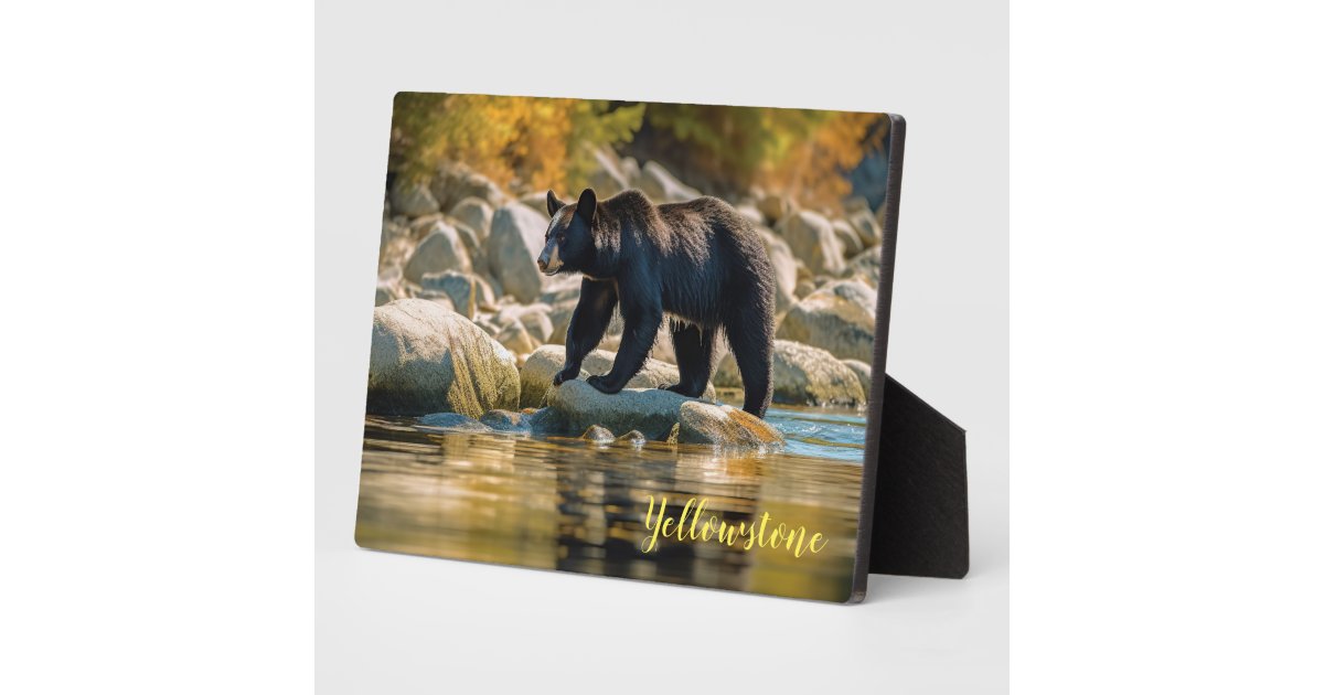 Photo Plaque-Yellowstone Black Bear Plaque | Zazzle